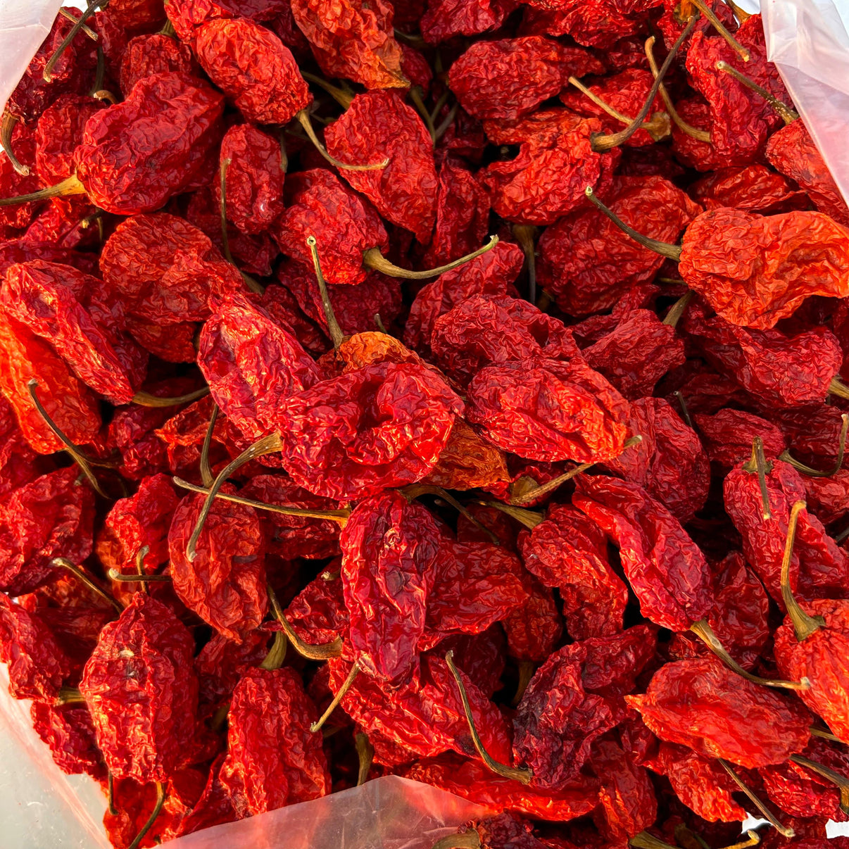 Smoke Dried Bhut Jolokia Pods (8-12 pieces) | Ghost Pepper | Naga ...